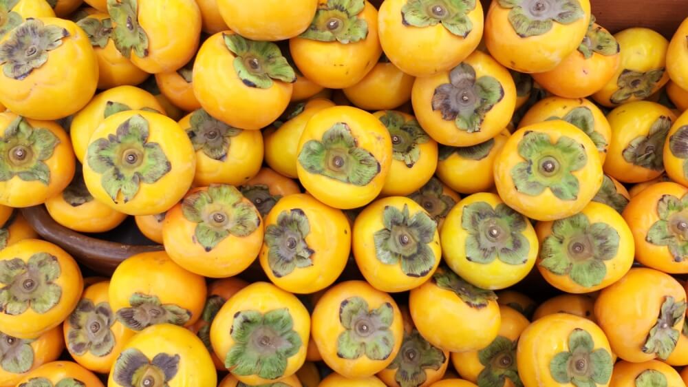 kaki banner | Arigato Travel