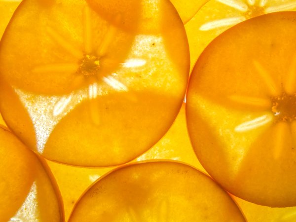 All About Kaki — the Must Try Autumn Flavor of Japan | Arigato Japan ...