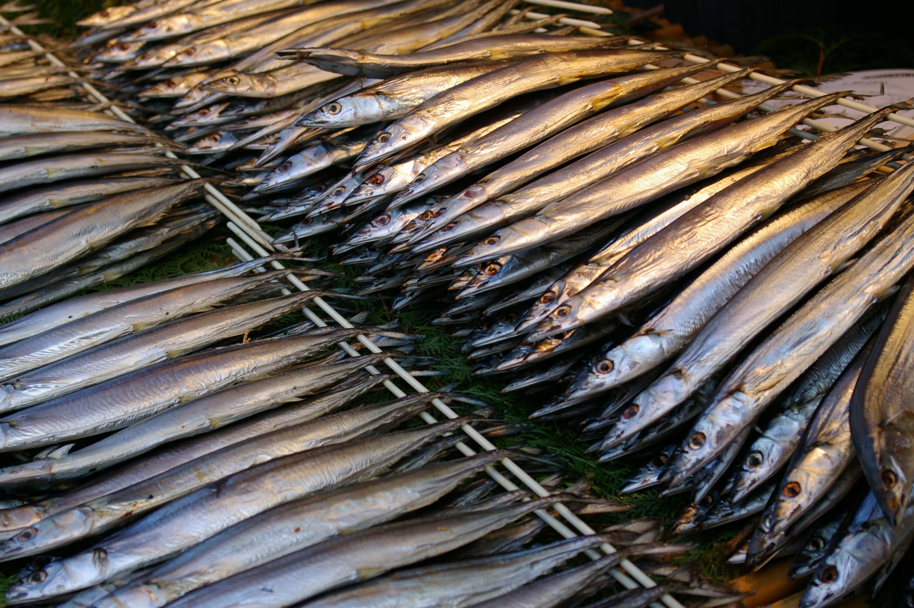 Pacific_saury_dried_overnight | Arigato Japan Food Tours – Japan's No ...