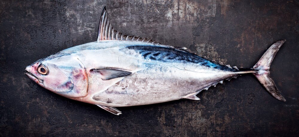 Katsuobushi: Fun Fish Flakes | Arigato Japan Food Tours – Japan's No. 1 ...