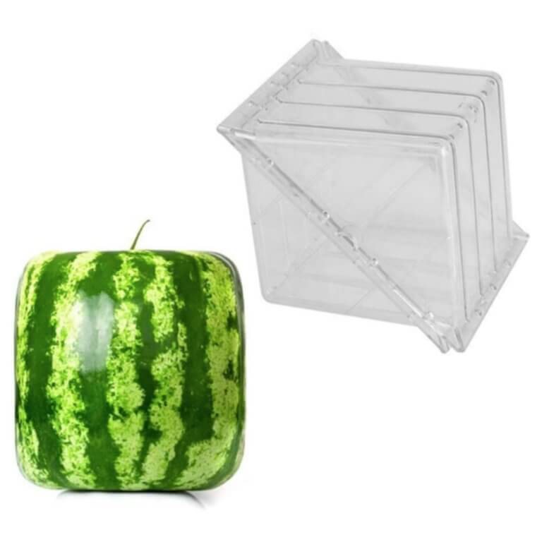 Crazy Shaped Watermelons, the secrets of the Japanese luxurious fruit ...